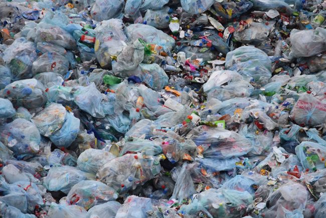 Clever Recycling Waste – Clever Recycling